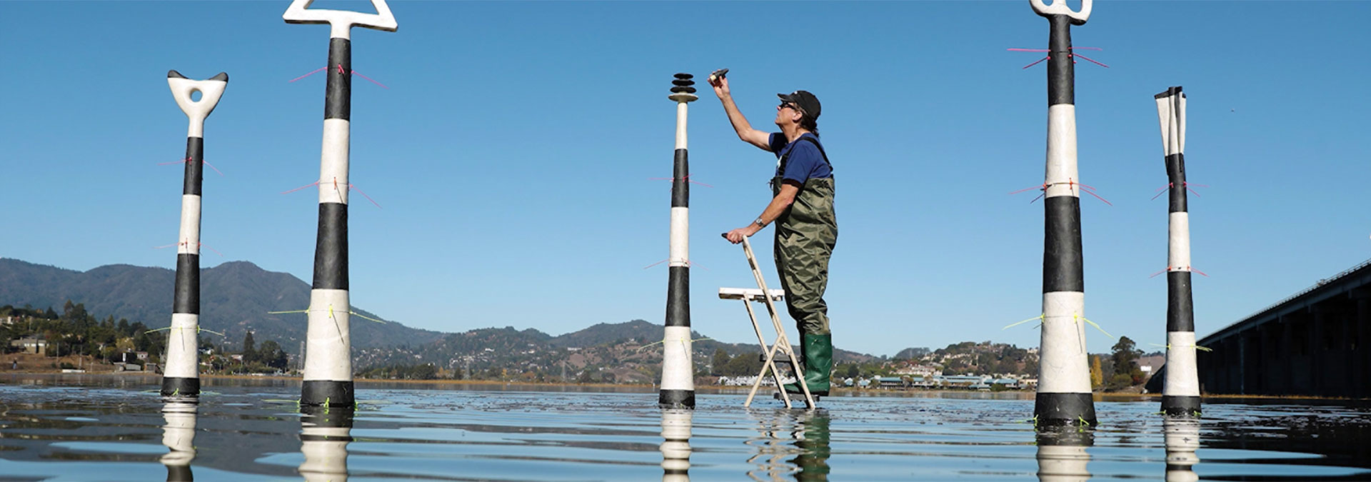 Aquametric Field Models - Jeff Downing